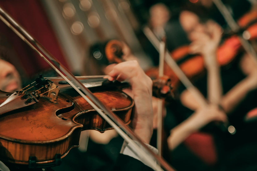 Orchestra Instruments & Accessories – Pecknel Music